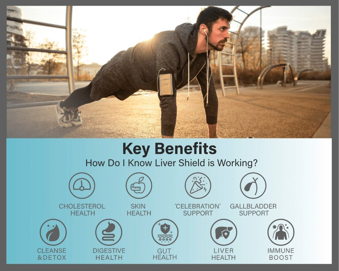 Liver Shield | Doctor-Formulated Liver Cleanse, Detox & Support Formula ...